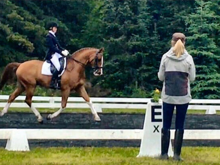 Alaska Horse Ranch | Equine Playground - Alaska Horse Ranch