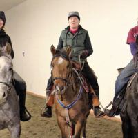 Alaska Horse Ranch | Equestrian Playground - Alaska Horse Ranch