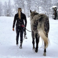 Alaska Horse Ranch | Equestrian Playground - Alaska Horse Ranch