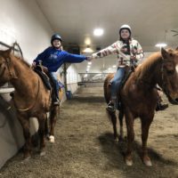 Alaska Horse Ranch | Equestrian Playground - Alaska Horse Ranch