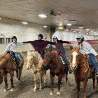 Alaska Horse Ranch | Equestrian Playground - Alaska Horse Ranch