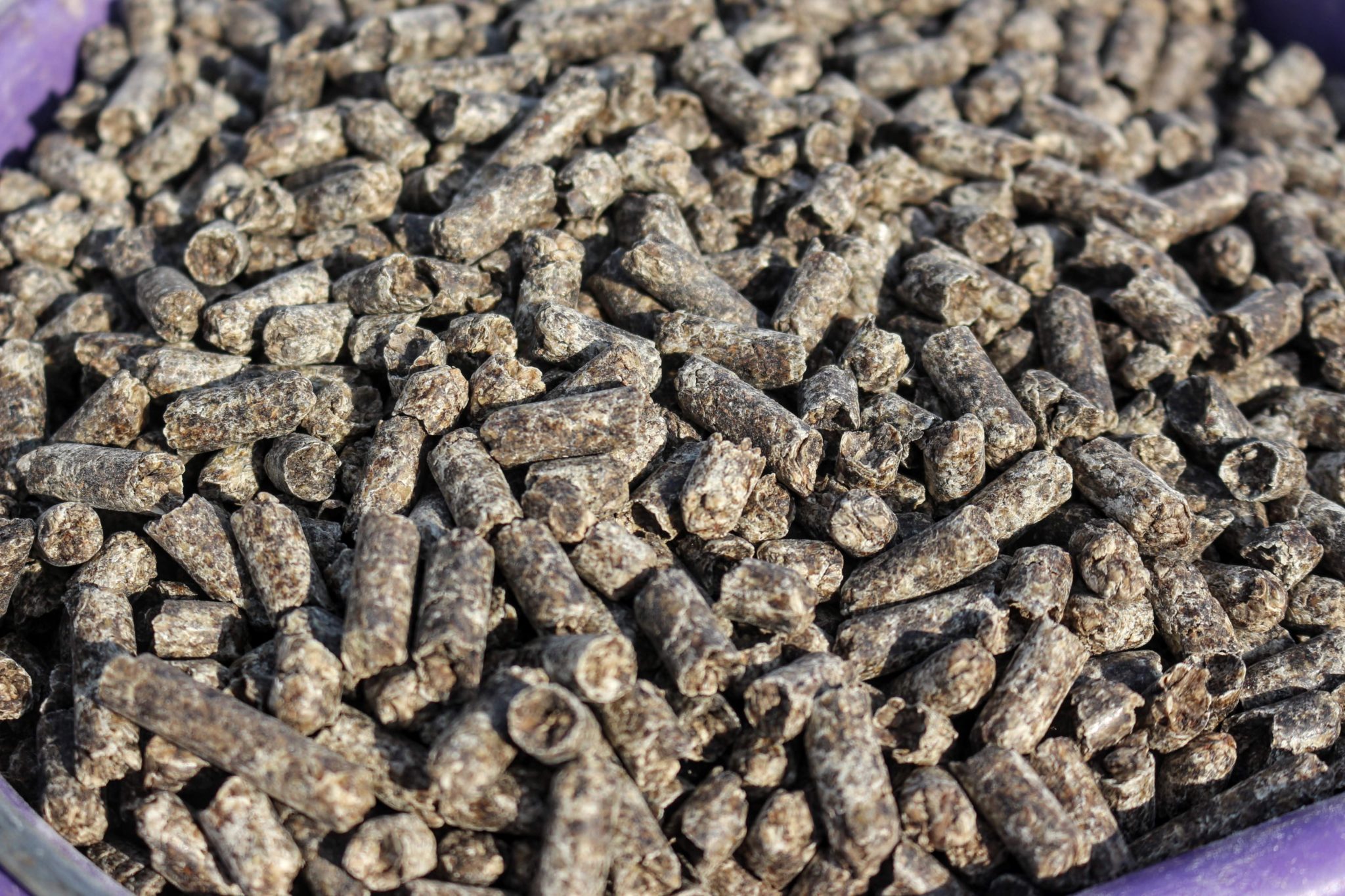Beet Pulp Pellets, 50# - Alaska Horse Ranch