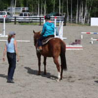 Alaska Horse Ranch | Equestrian Playground - Alaska Horse Ranch