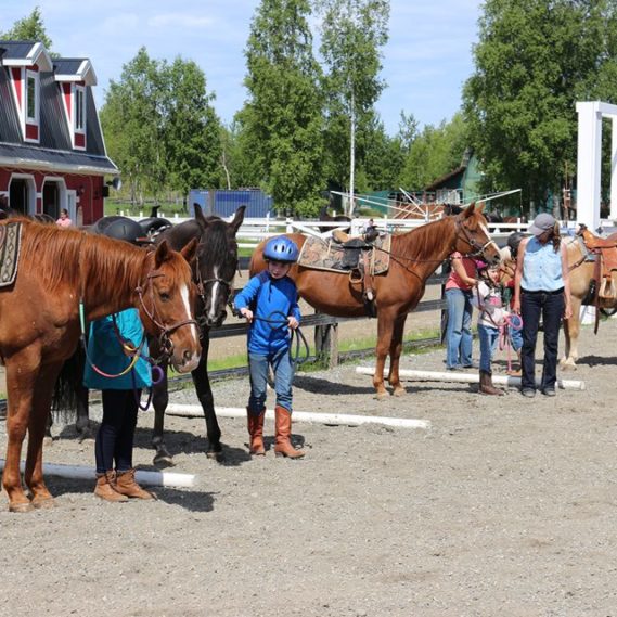 Gallery - Alaska Horse Ranch