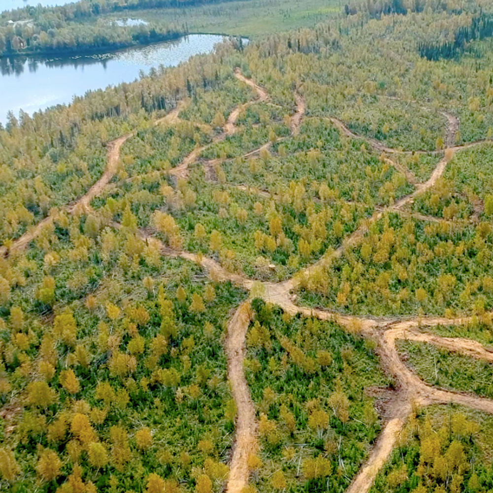 About Us - Alaska Horse Ranch