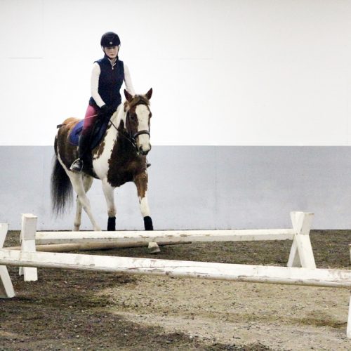 Alaska Horse Ranch | Equestrian Playground - Alaska Horse Ranch