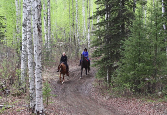 Horse Trail Riding | Wasilla Alaska - Alaska Horse Ranch