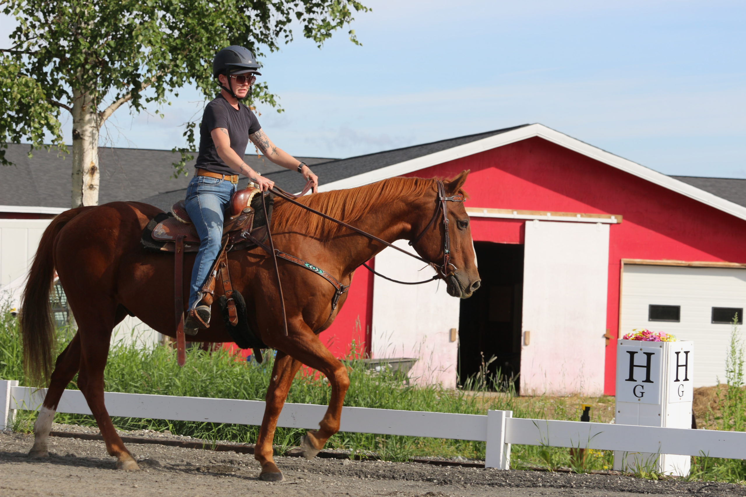 Chester $2,500 - Alaska Horse Ranch