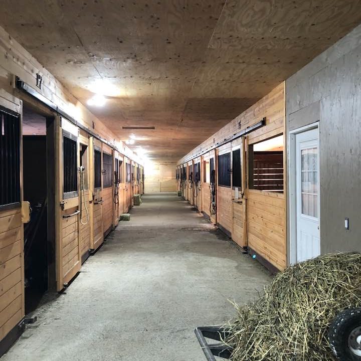 Alaska Horse Ranch | Equestrian Playground - Alaska Horse Ranch