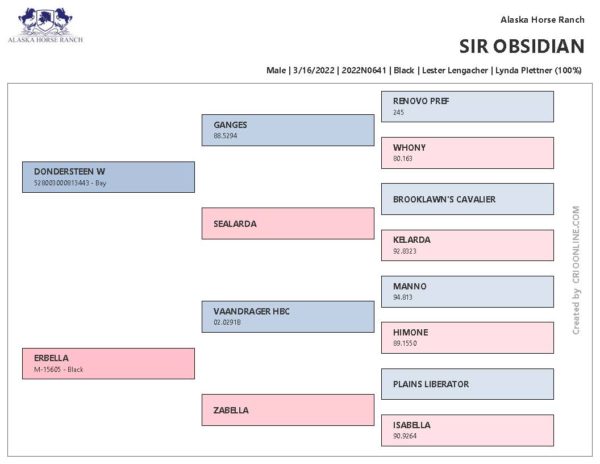 Sir Obsidian - Alaska Horse Ranch